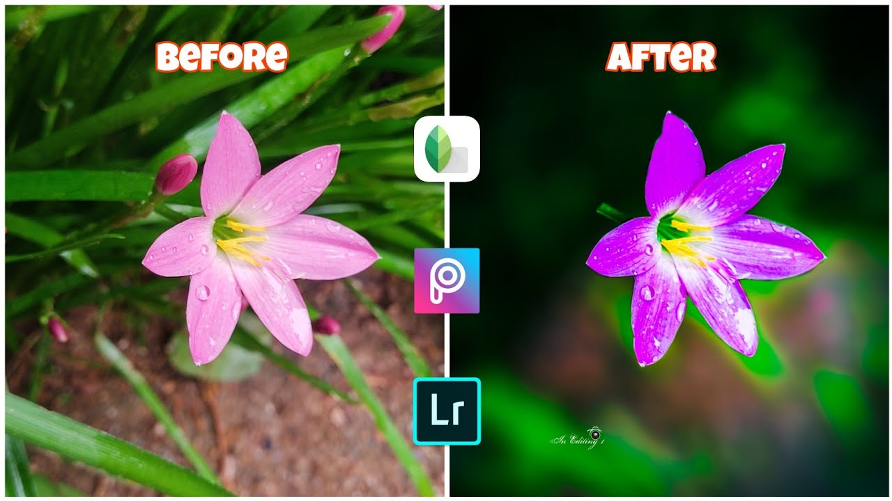 Flower Photography | Mobile Photography Photo Editing |Snapseed|PicsArt ...