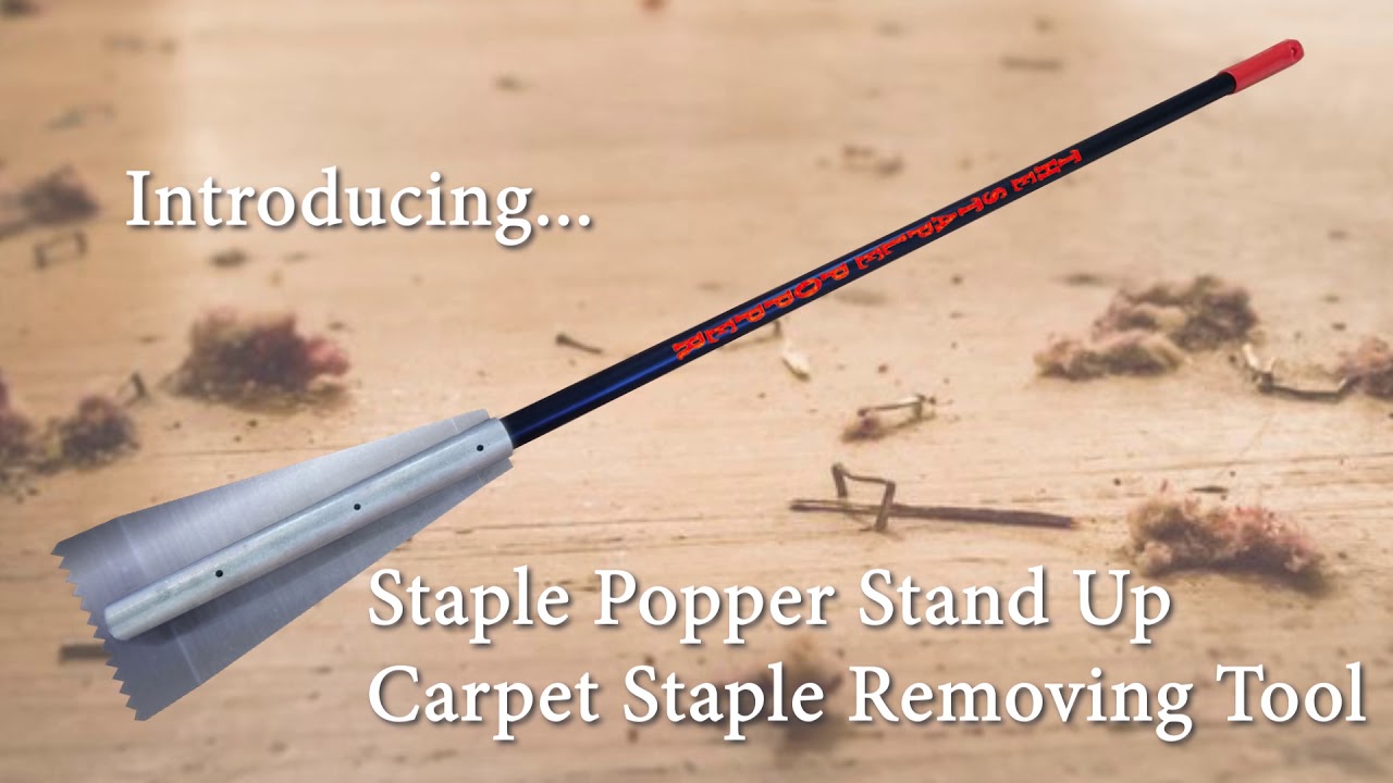 Staple Popper Tools Eliminating The Burden In Your Carpet Removal Work You