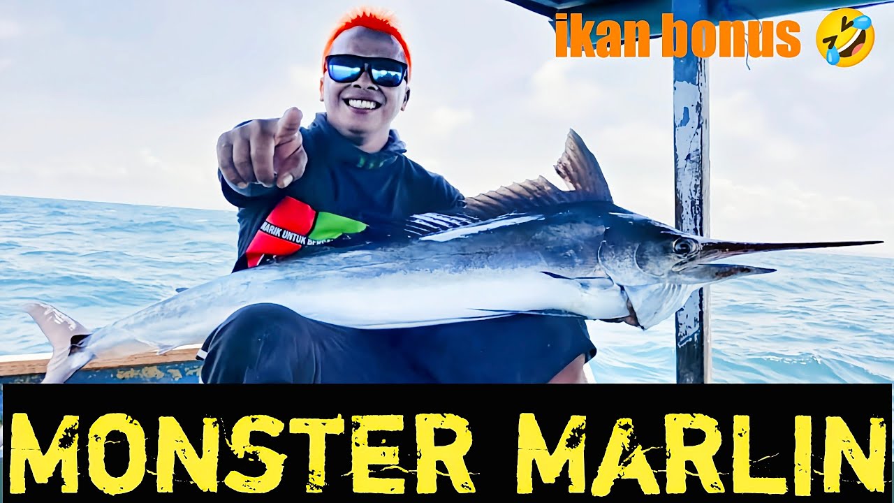 Monster Marlin akhirnya takluk !!! ikannya sangat susah ditaklukkan ...