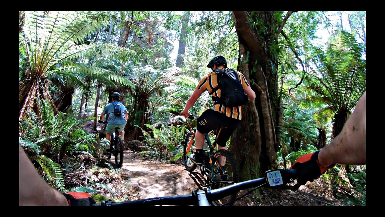 Blue Tier Part 2 | Mountain Biking Tasmania with Mountain Movements ...