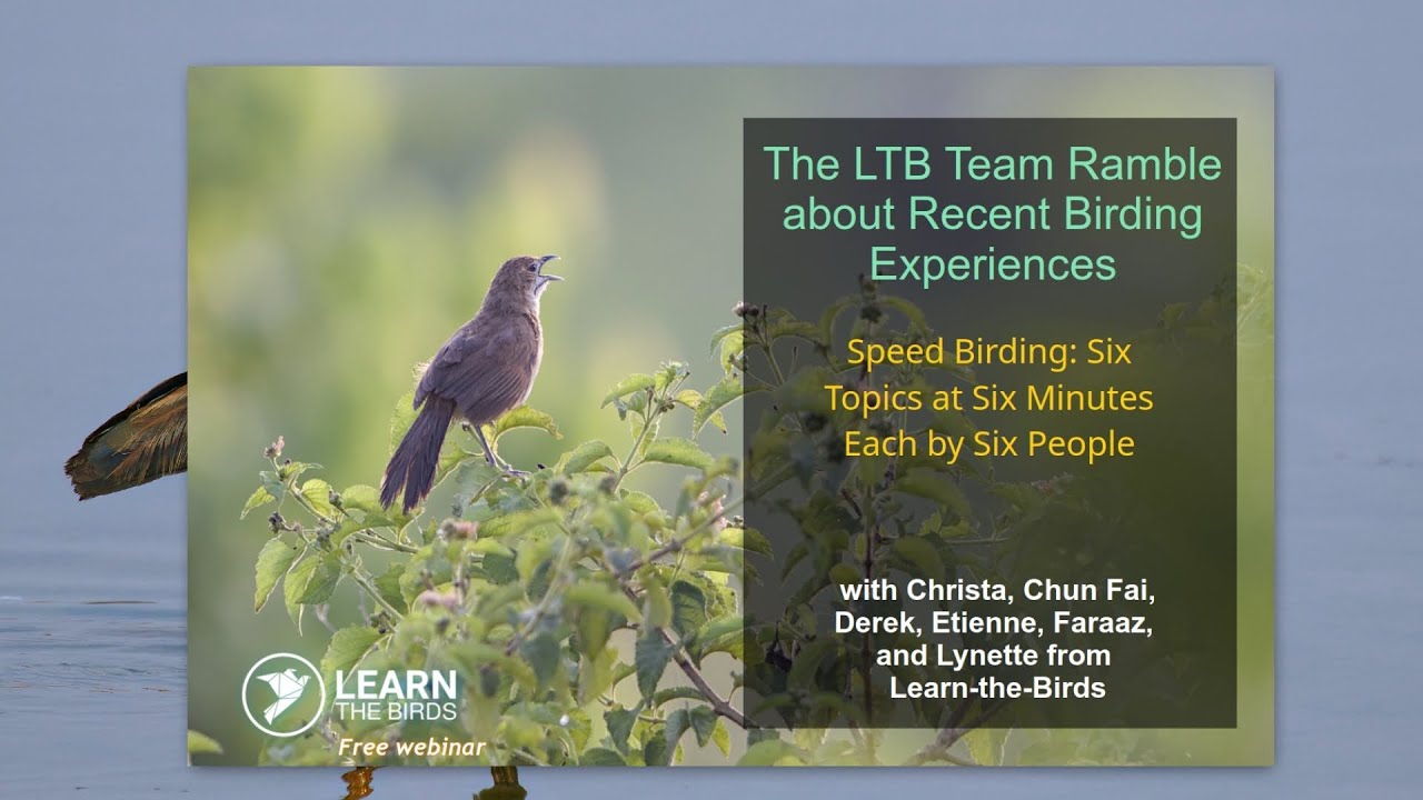 Learn the Birds – Learn about birds from global experts