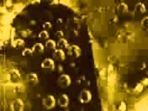 GAMZE KISA ŞARKI