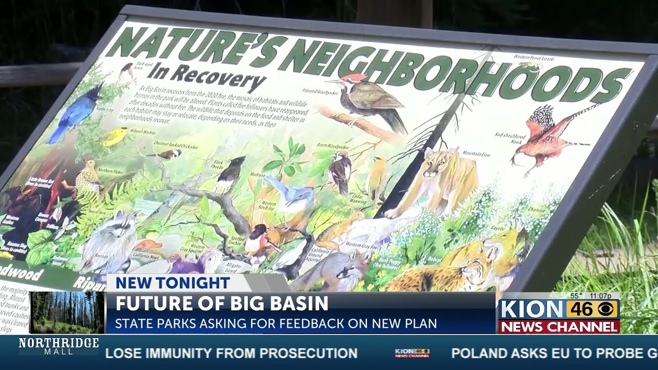 State Parks opens Big Basin rebuild plan to public in webinar - YouTube