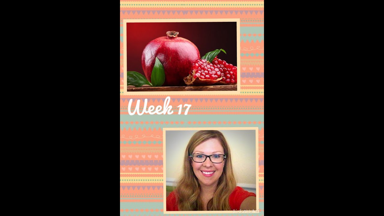 Week 17 Pregnancy Vlog Youtube