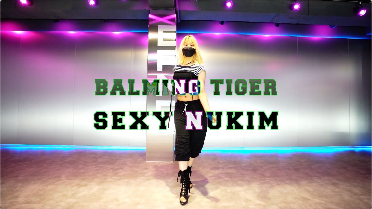 ( Balming Tiger - SEXY NUKIM (feat. RM of BTS) ) SWAN Girlish Choreo ...
