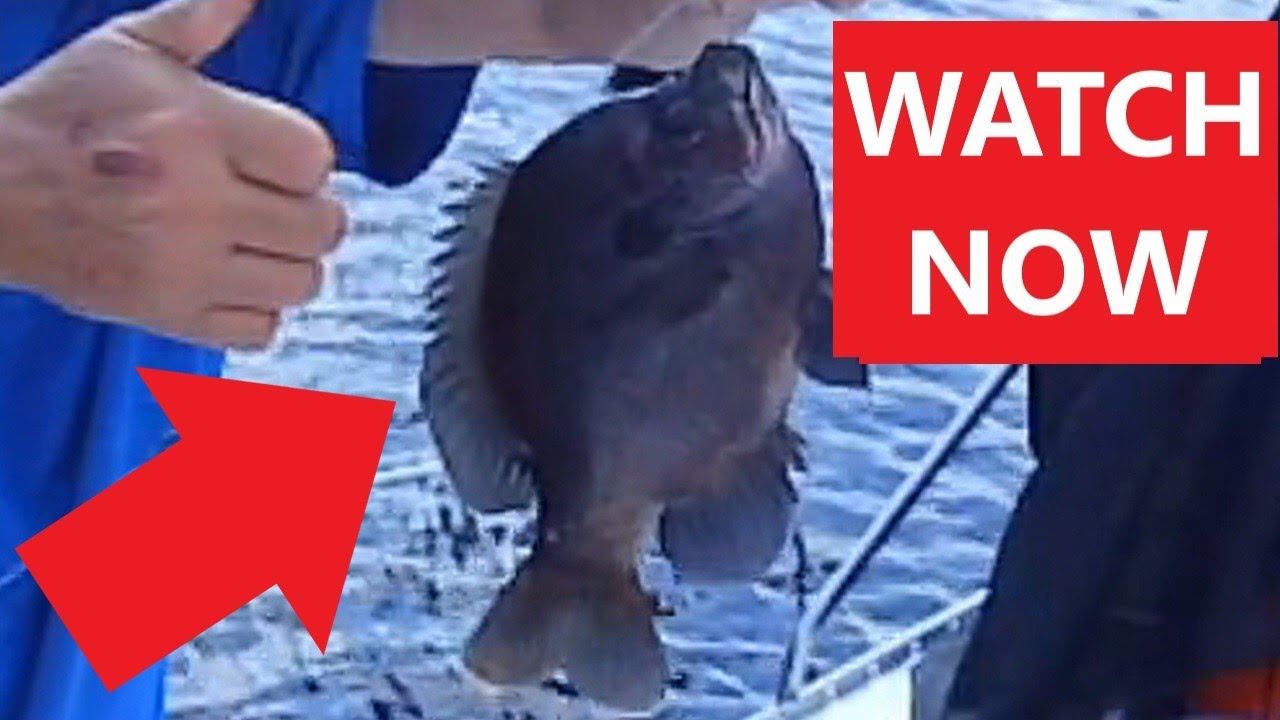 LIVE FISHING FLORIDA MY RIVER MONSTER QUEST mesmerizing bobber drop ...