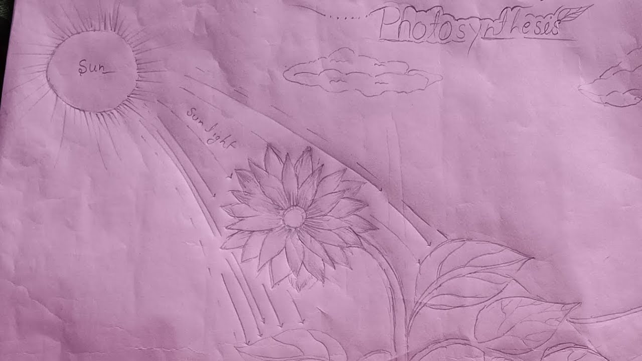 prakash sanshleshan ka drawing Casay banay. Prakash sanshleshan ka ...