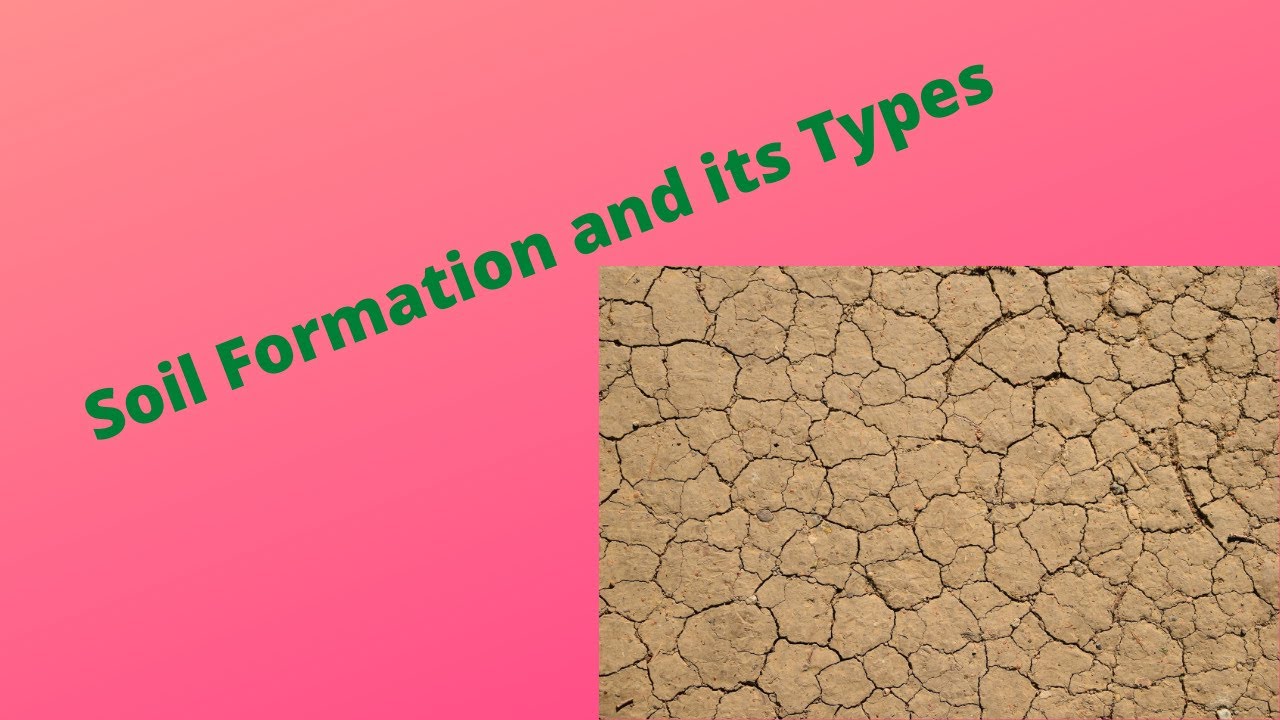 Soil Formation and its Types - YouTube