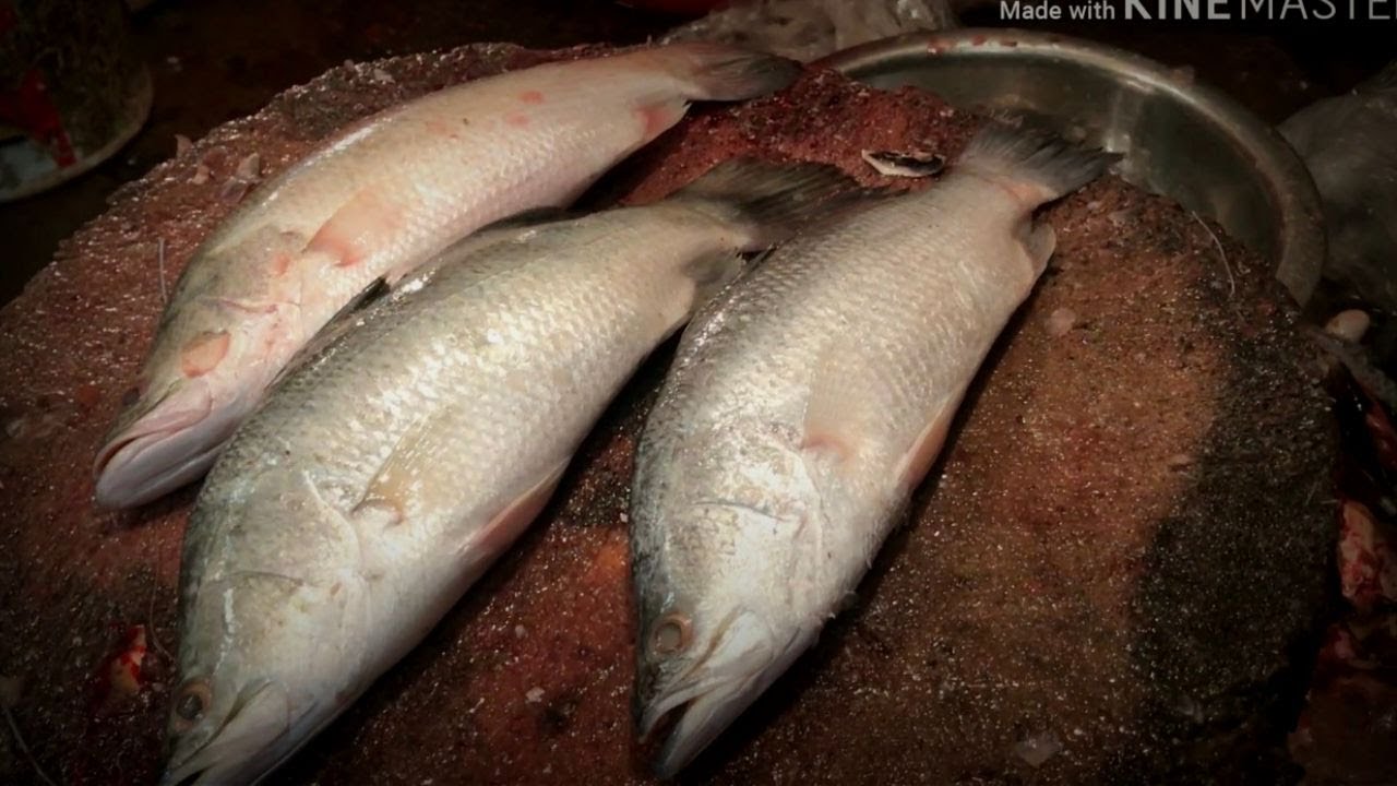 Kural fish cutting video II Satisfying fish cutting skills IIএকদম তাজা ...