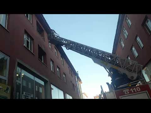 İntihar eden kedi!!!