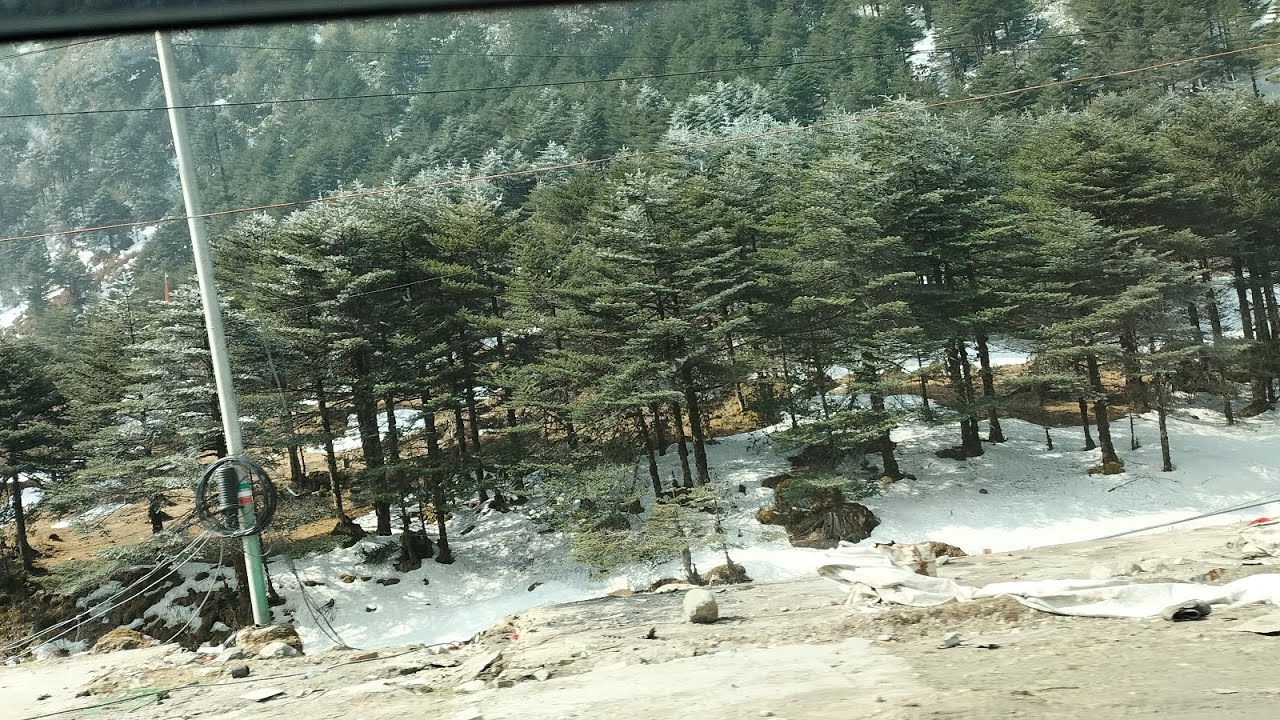 Bomdila to Sela Pass //Tawang to Bumla Pass //Arunachal Pradesh , India ...
