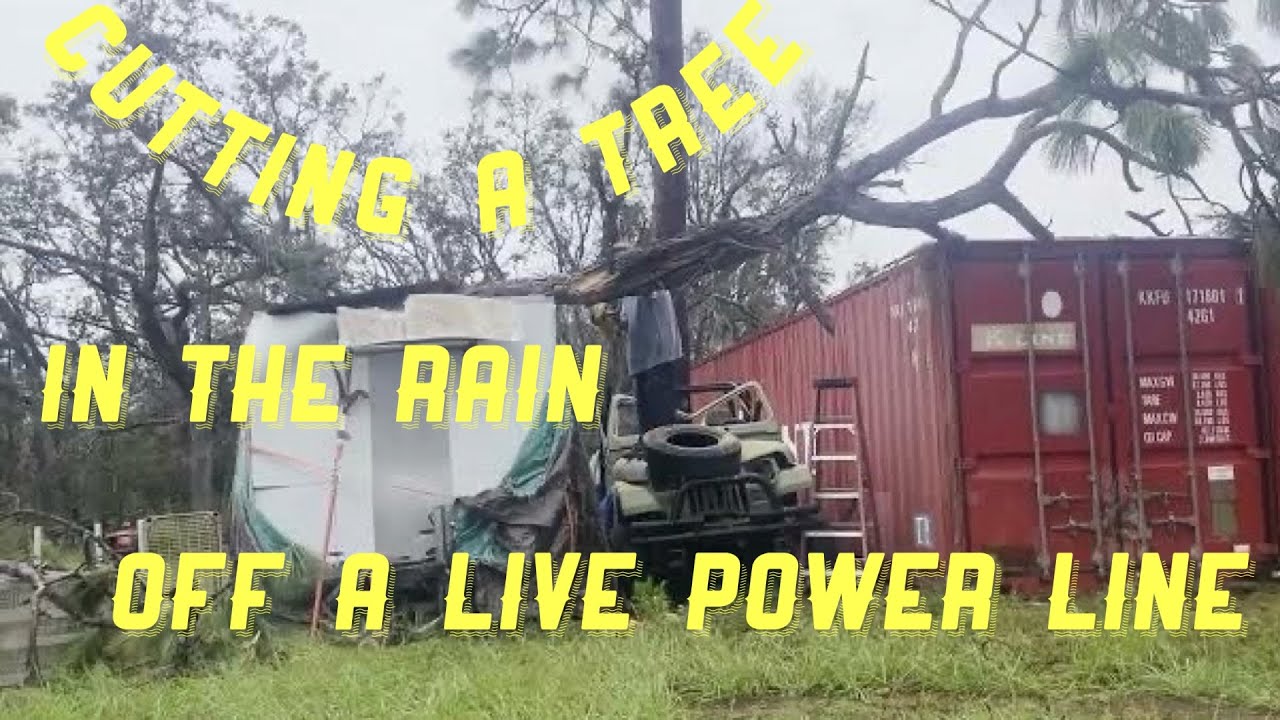 Here we go AGAIN cutting a tree off of a LIVE powerline in the RAIN ...