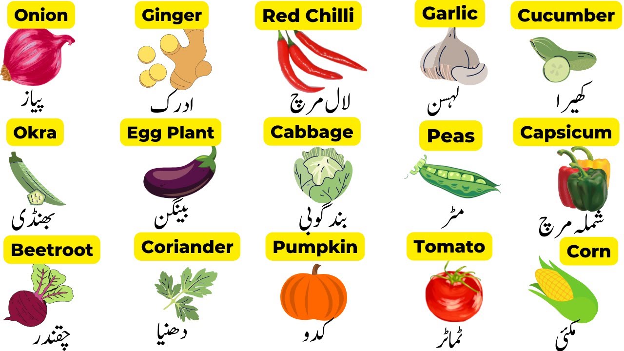 Vegetable Names in Urdu and English | Vegetable Vocabulary Words with ...