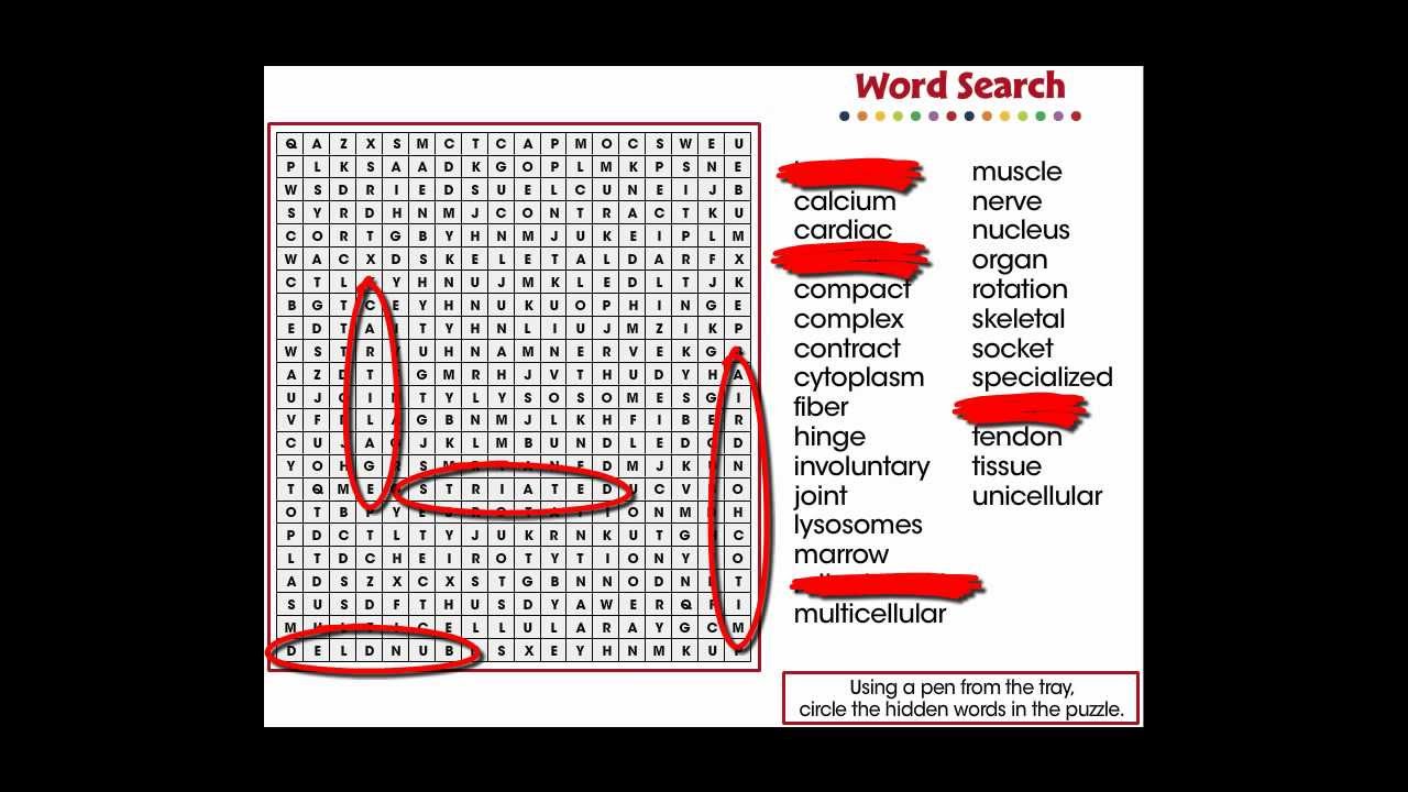CC7549 Cells, Skeletal & Muscular Systems: Word Search Mini - 2013 ...