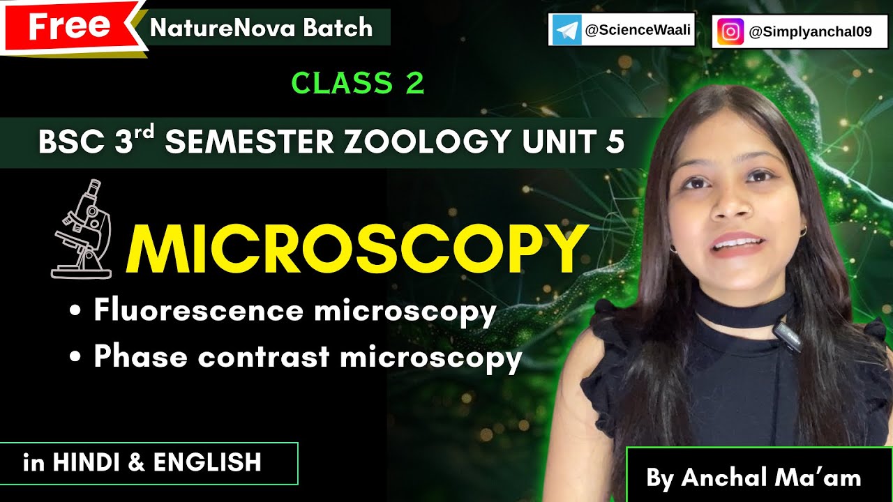 Fluorescence vs Phase contrast Microscopy | bsc 3rd semester zoology ...