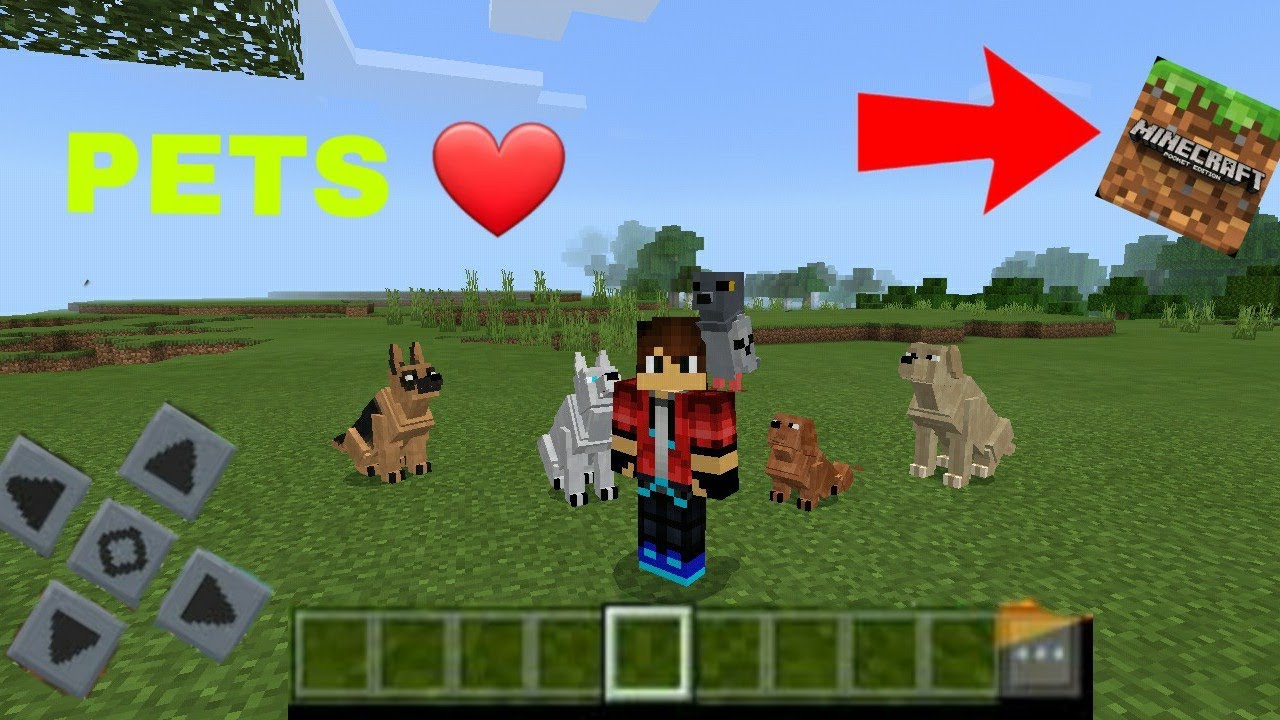 SAIU!!! COMO TER PETS DE ESTIMAÇÃO NO MINECRAFT PE 1.16 😄 - YouTube