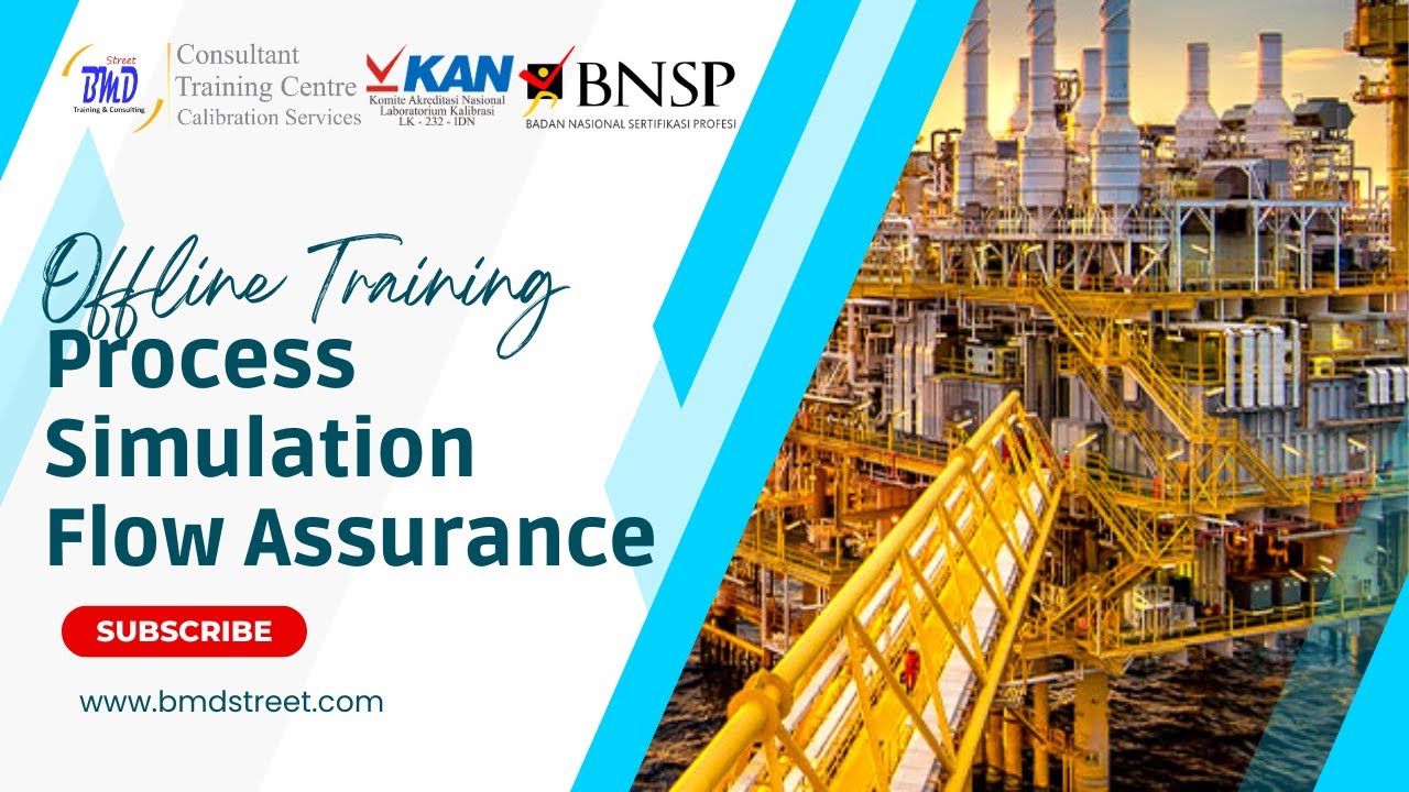 Offline Training Process Simulation Flow Assurance - BMD Training Centre & Consultant - YouTube