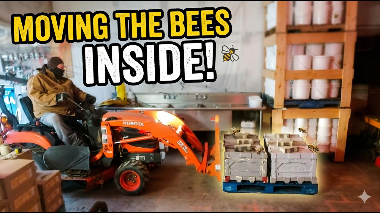A Very Difficult Day, Moving the Bees Inside-That Bee Man - YouTube