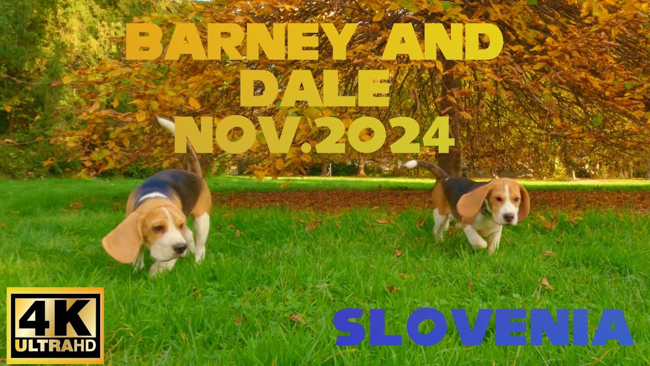 Barney and Dale Brother Reunion, Maribor, Nov.2024 4K - YouTube