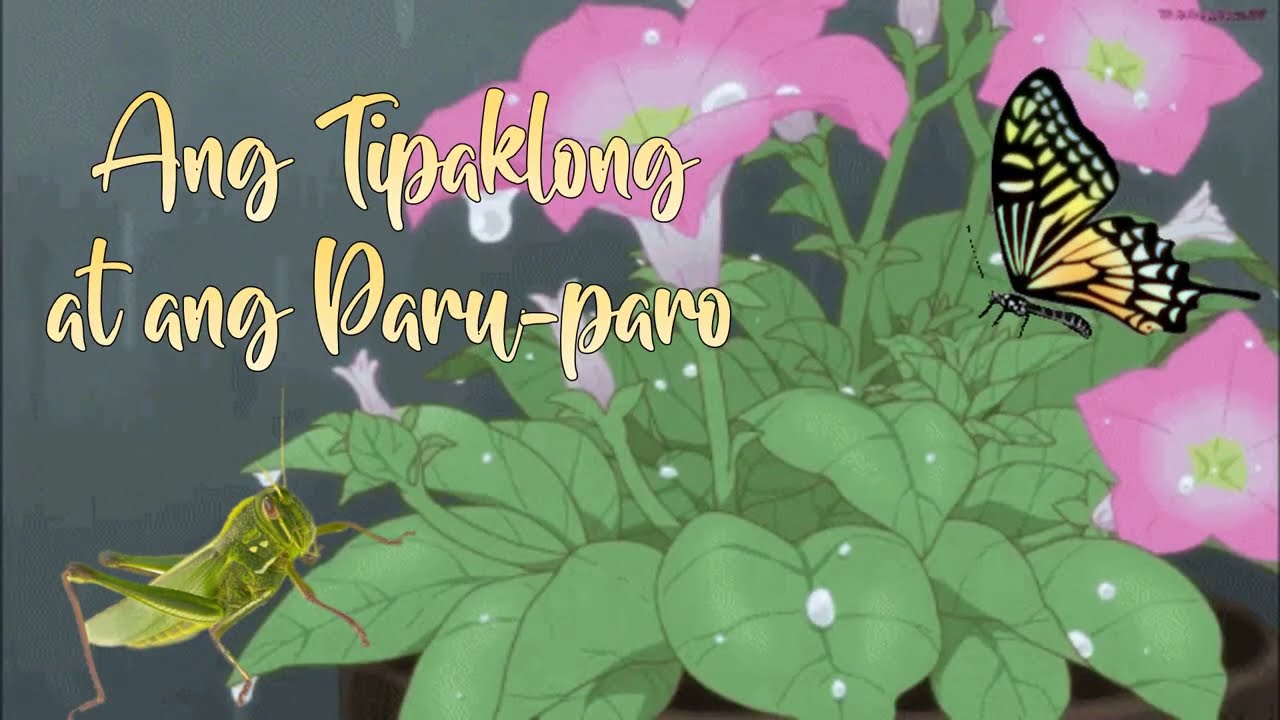 Ang Tipaklong at ang Paru paro - YouTube