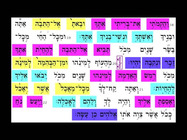 Torah Recordings – Genesis – The Neshamah Institute