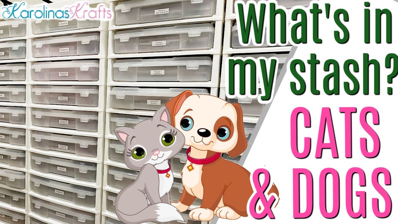 What's in my Stash? Cat and Dog Paper Pads I have in my Stash, Pet ...