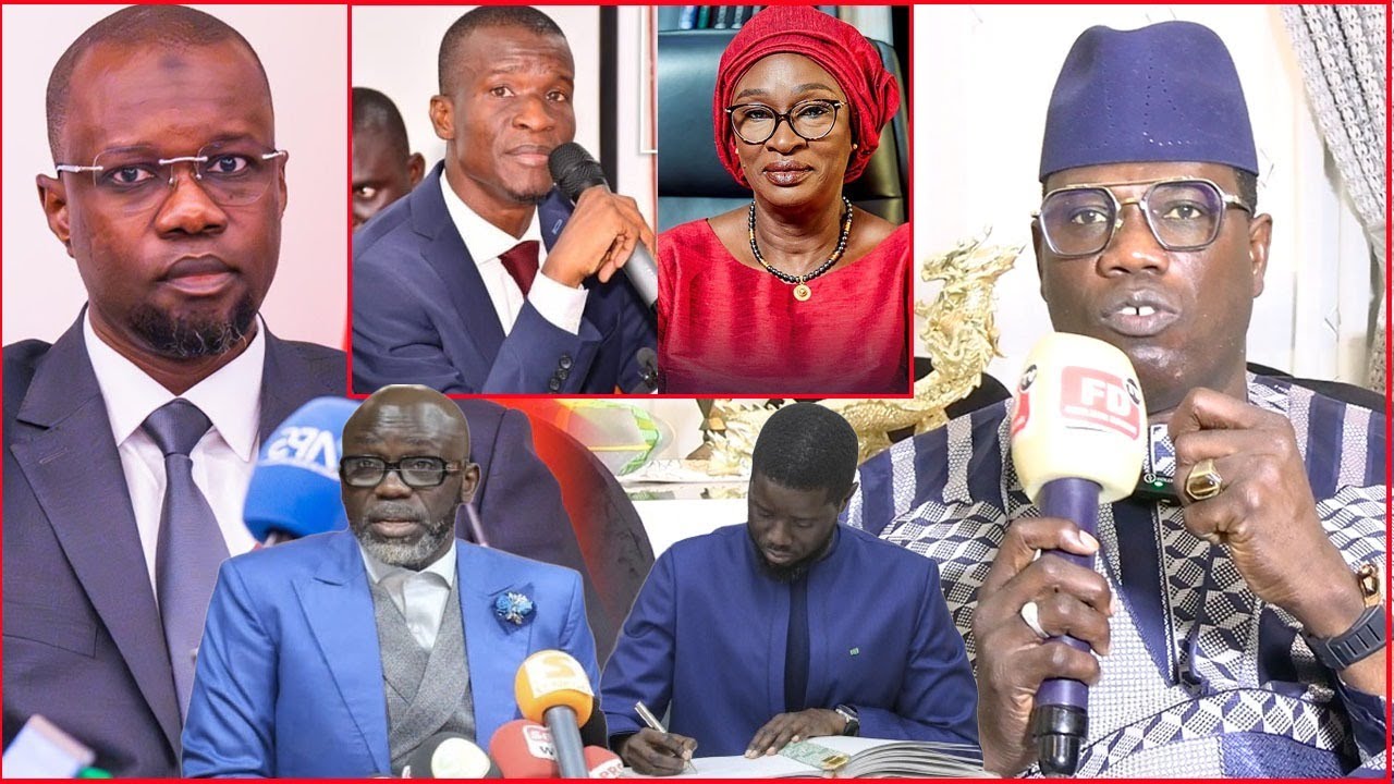 🛑Mandat d'arrêt Cheikh Yèrim- Yacine Fall en action- Sonko valide ...