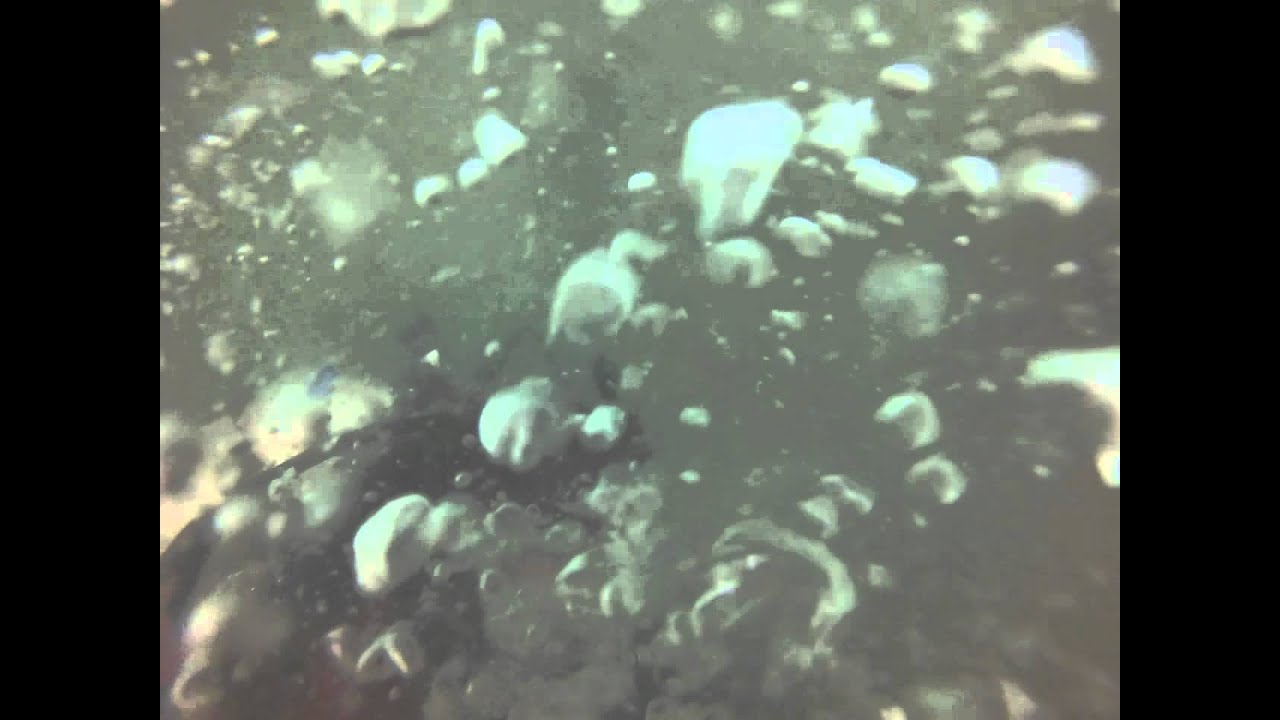 Shark Tooth Dive 1 Part 1 - YouTube