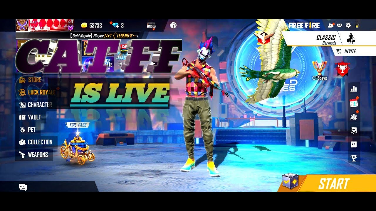 Free Fire Live Game Play 😻 | CAT FF | - YouTube