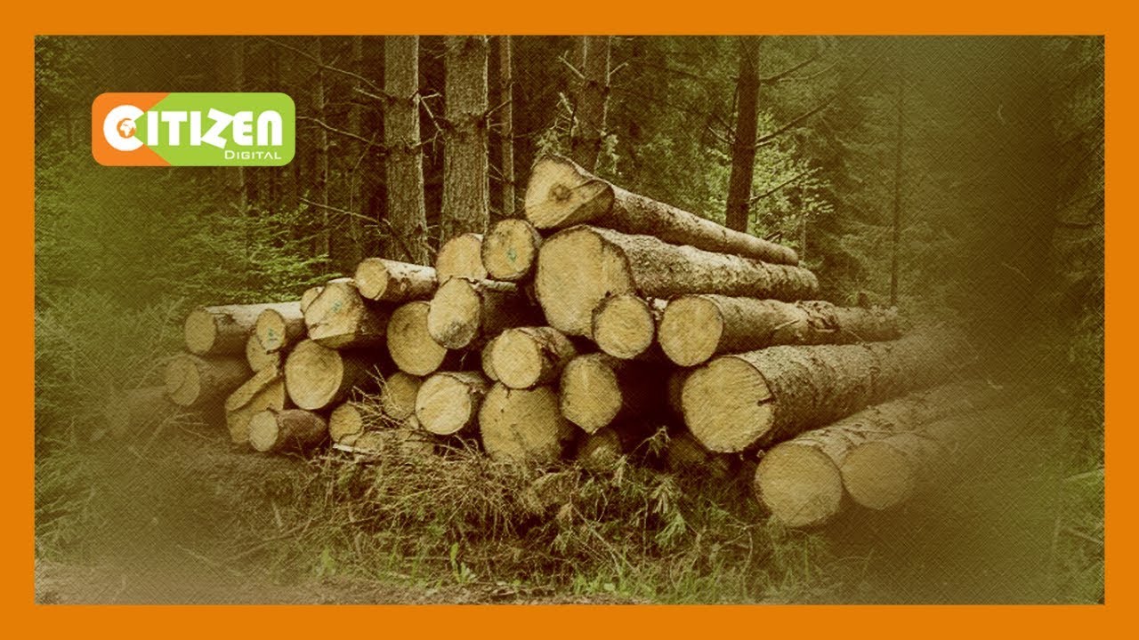 Wakaazi zaidi ya elfu tatu wanaotegemea mapato yao kutoka msitu wa ...