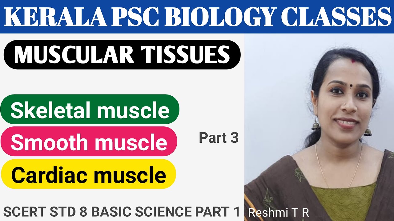 ANIMAL TISSUES/MUSCULAR TISSUES/SCERT STD 8 BASIC SCIENCE PART 1 ...