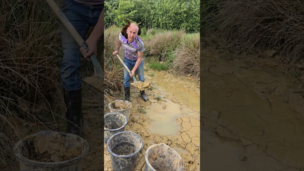 Digging Pond Slop #landscaping #fitnessmotivation #mud #ponds # ...