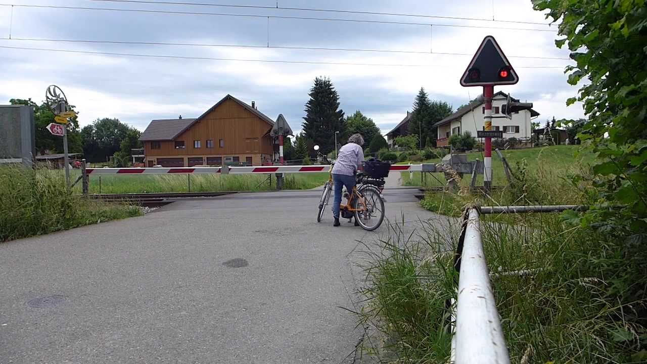 Countryside traffic jam - YouTube