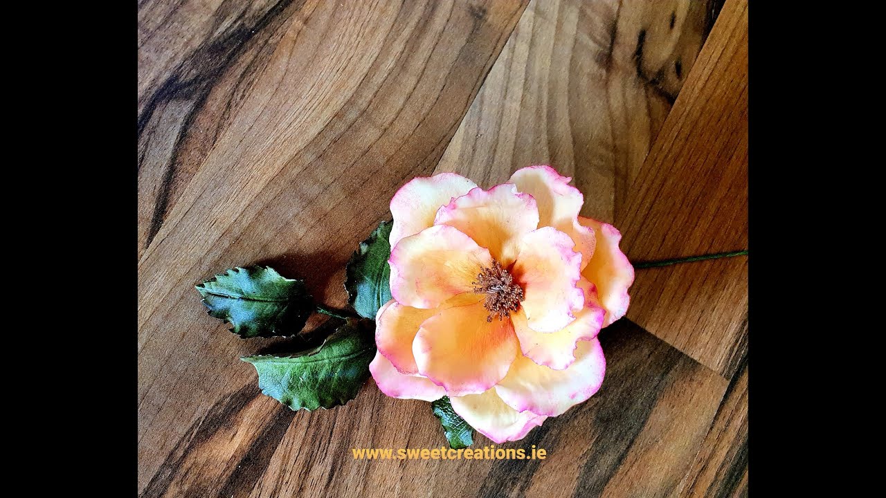 Wild Wicklow Rose - YouTube