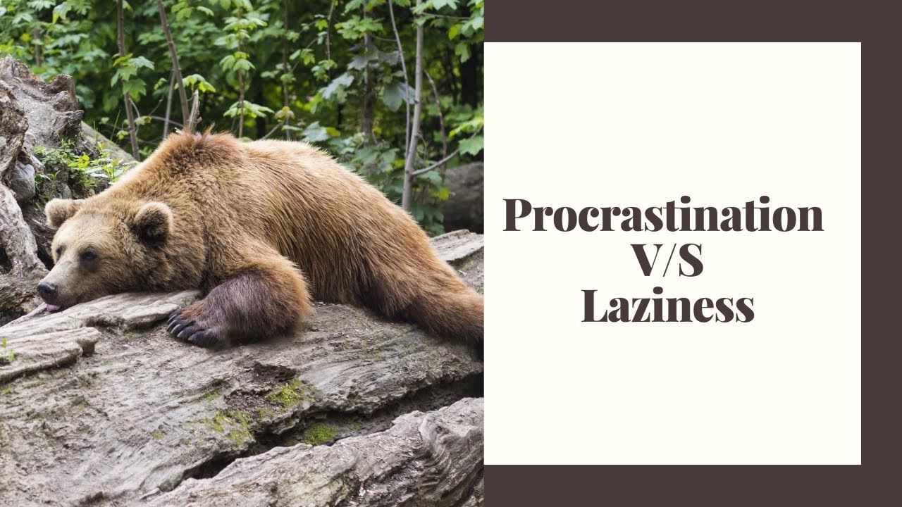 Procrastination VS Laziness - YouTube