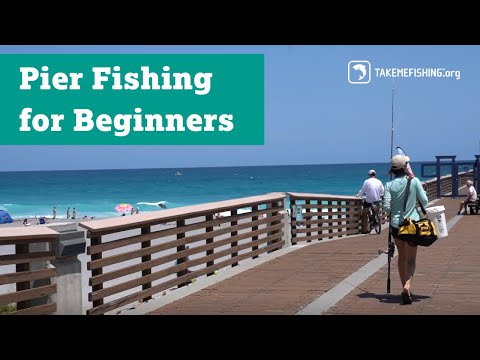 Pier Fishing for Beginners