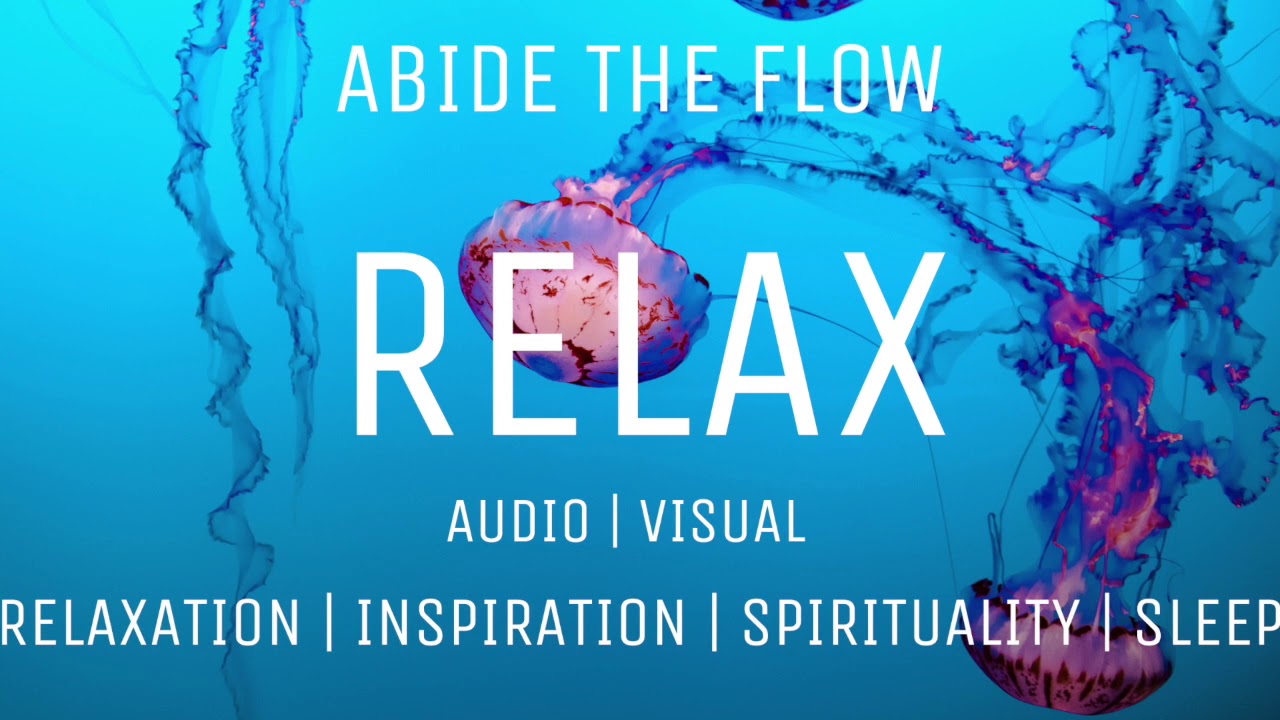 2-Hours of Relaxing Music and Jellyfish, Ambient Music for Sleep, Study ...