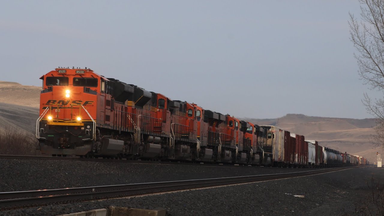 BNSF 8500 Leads a 8 Locomotive Train as it comes to a Stop at Cactus ...
