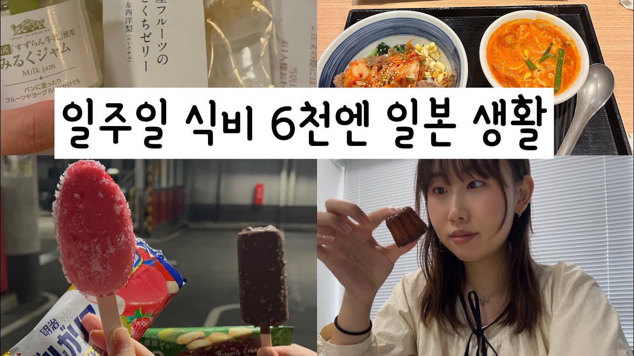 6천엔으로 일주일 버티기 도전 일본 나고야 유학생 브이로그 찍으면서 가계부 쓰기 일주일 챌린지 Youtube