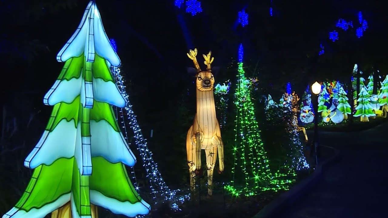 OKC Zoo's Safari Lights up for honor as popular event open for 2024 ...