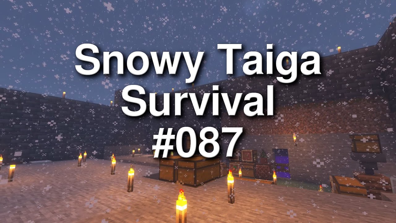 Minecraft Snowy Taiga Survival - #087 - YouTube