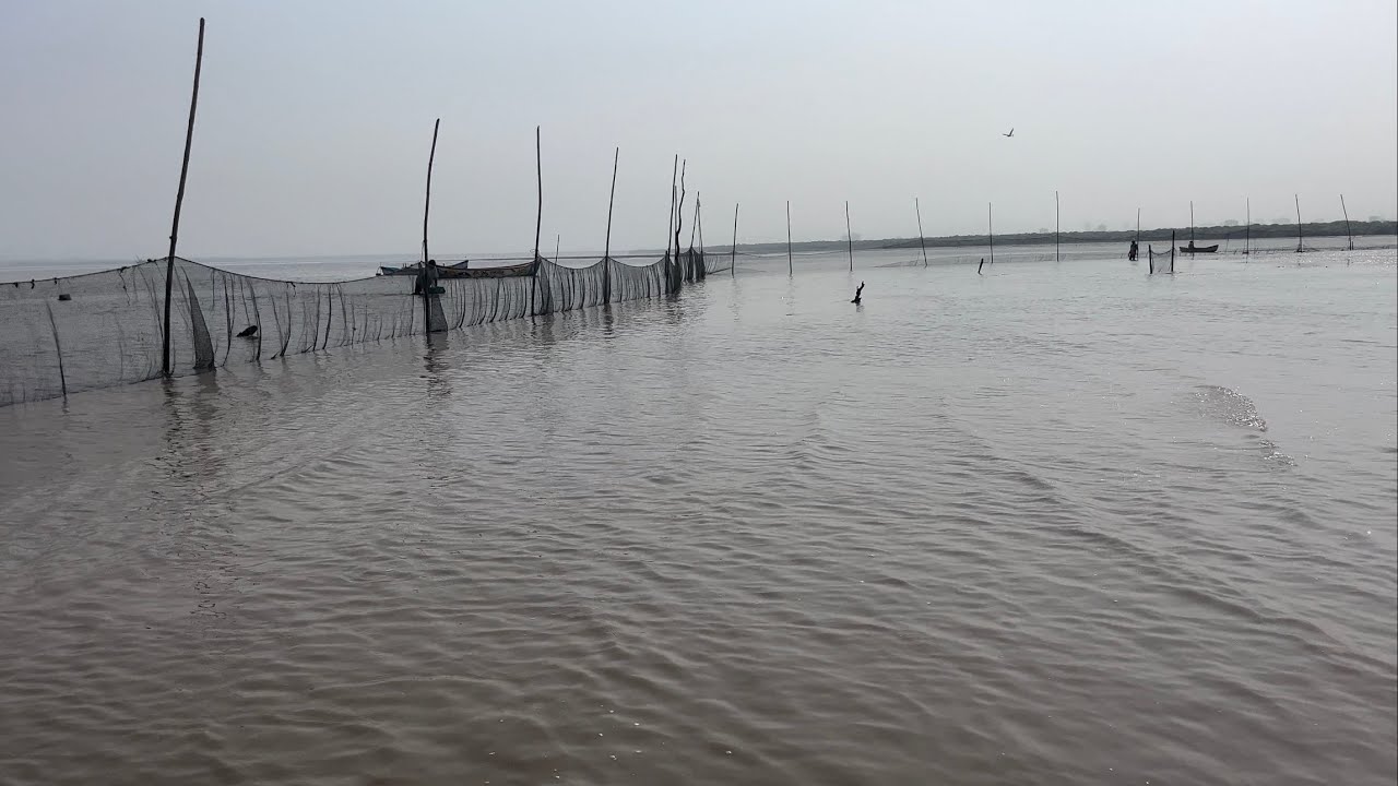 आज मस्त होडी भरूण म्हावरे पडले आणि निवट्या/वाणे मासेमारी Indian net ...