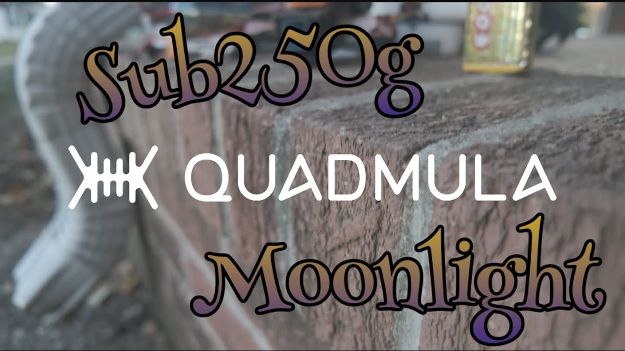 Quadmula Djinn 2.5" // Walksnail Moonlight // FPV review - YouTube