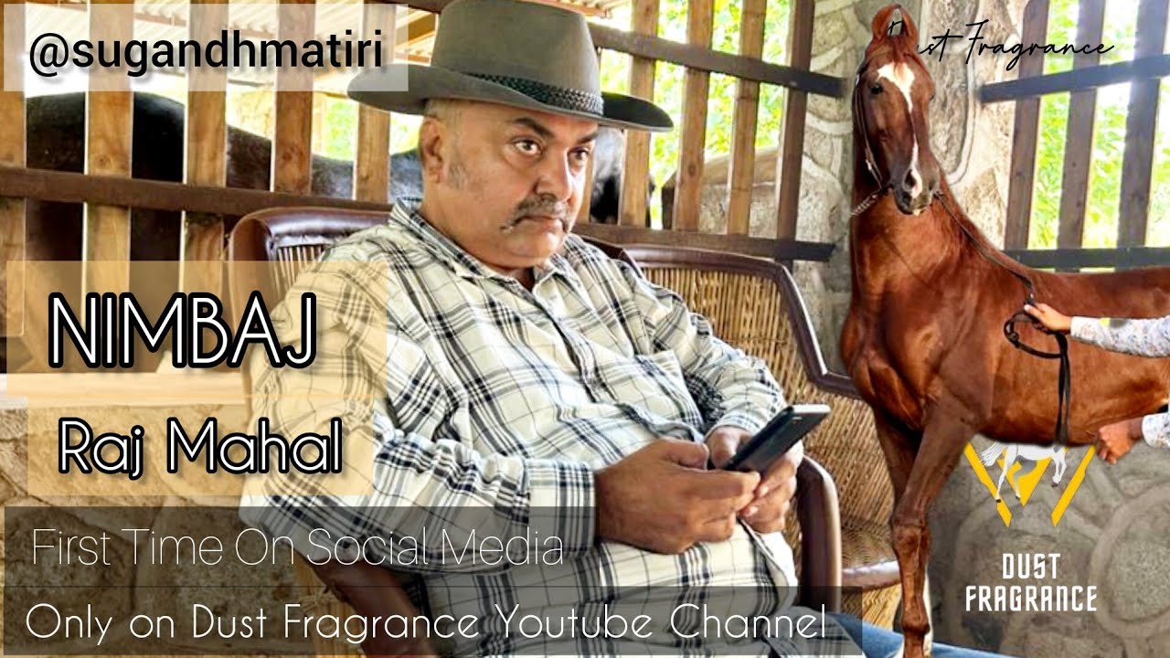 NIMBAJ मारवाड़ी घोड़ों का रॉयल हाउस पहली बार यूट्यूब पर. (Raj Mahal ...