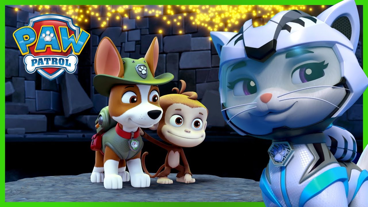 Kocia Paczka i Psi Patrol: Kot, który zaryczał - Psi Patrol PAW Patrol po polsku - YouTube
