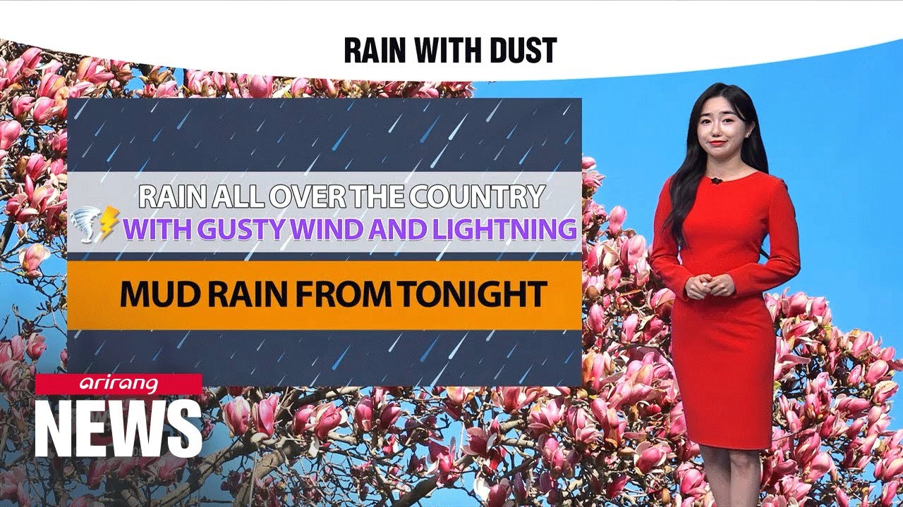 [Weather] Mud rain from tonight, rain until tomorrow morning - YouTube