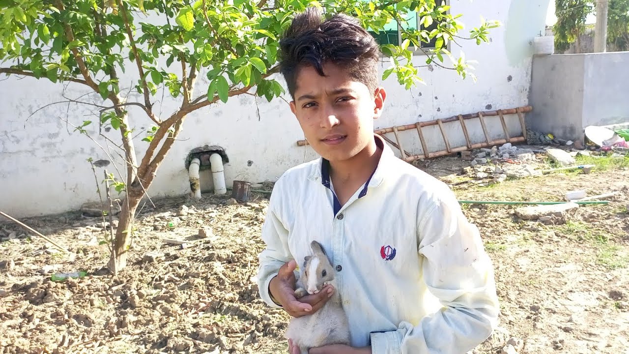 Rabbits 🐇 le kar aye - YouTube