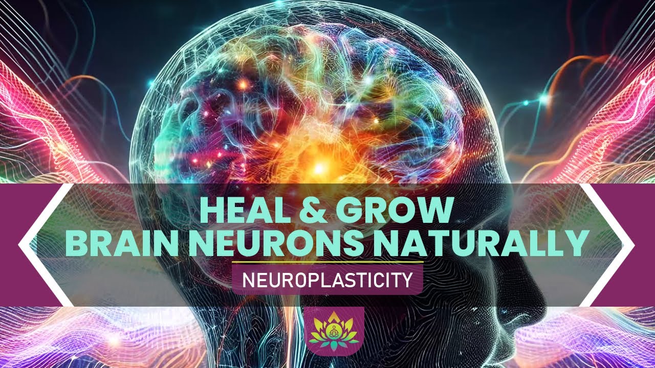 Alleviate Reduced Neuroplasticity In Brain | Heal & Grow Brain Neurons ...