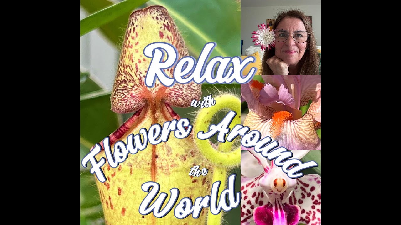 Relax Flowers Around World - YouTube