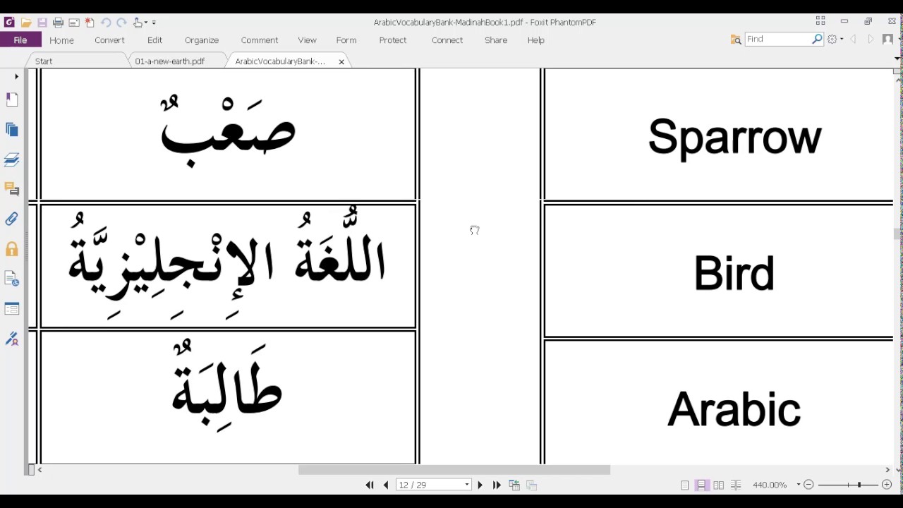 Madinah Arabic Book 1 Vocabulary Lesson 8 to Lesson 12 - YouTube